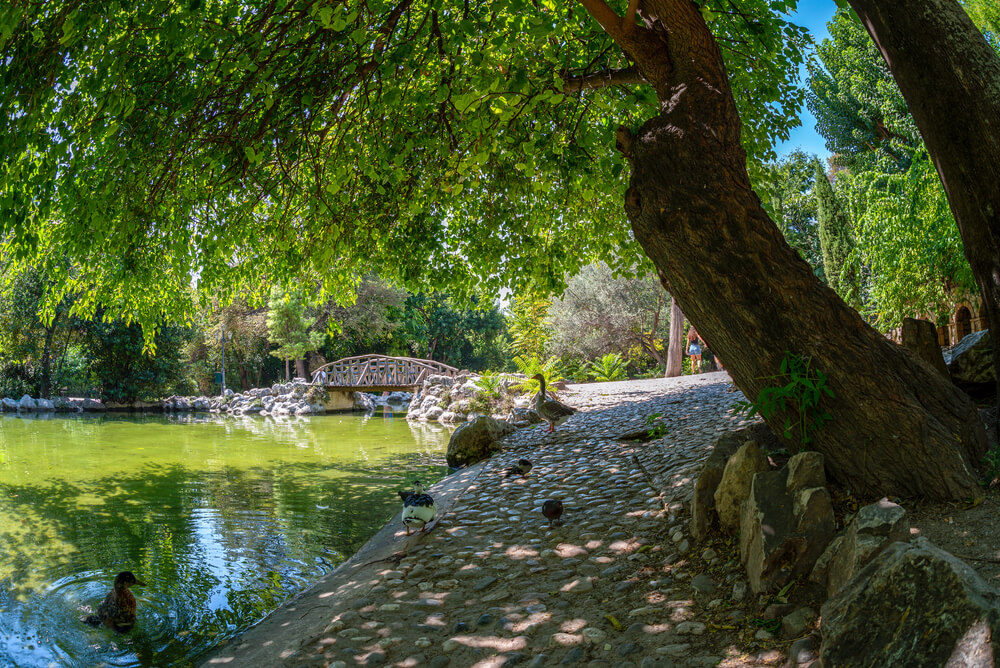 The Best Parks for Kids in Athens: Where Nature, Fun, and Learning Come ...