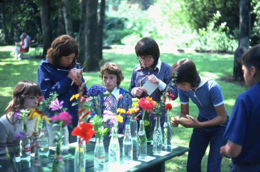 10 Kid-Friendly Flower Activities at Home | Family Days Out