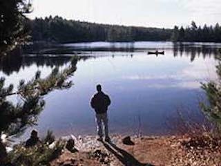 Freetown Fall River State Forest in Freetown | Massachusetts - on ...