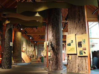 Tillamook Forest Center, Oregon