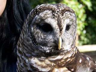 Salisbury Zoo, Maryland