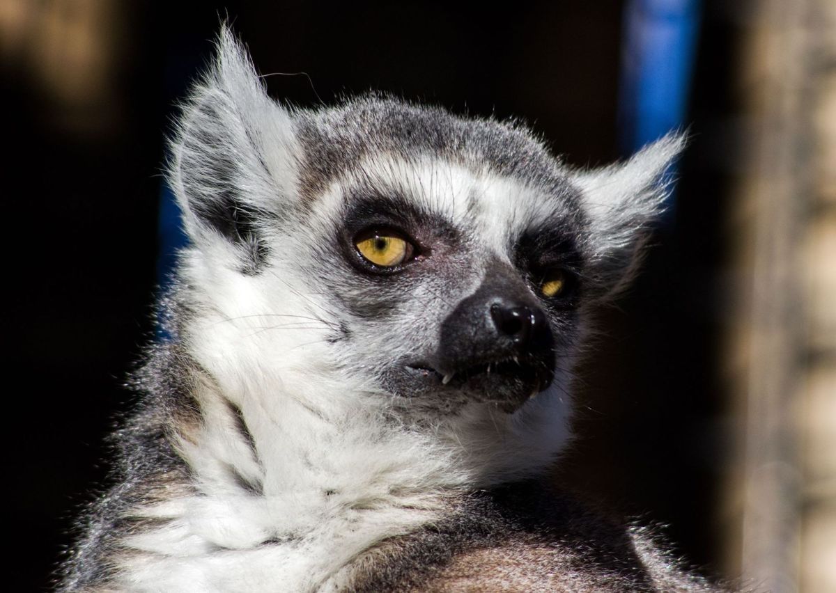 Charles Paddock Zoo Atascadero | California Zoo
