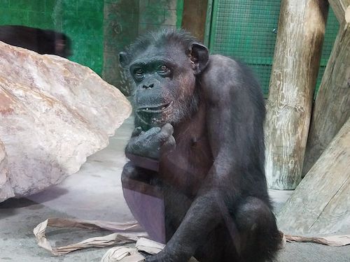 Riverside Zoo & Discovery Center, Scottsbluff, Nebraska