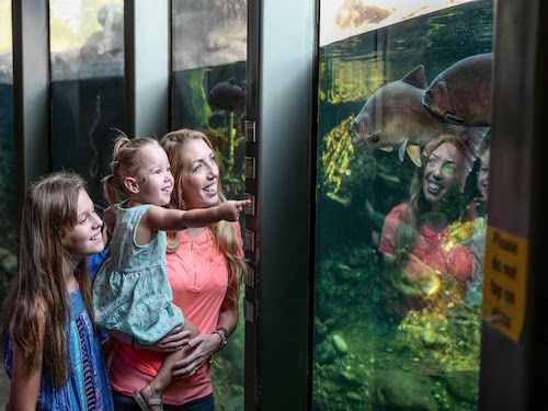 Turtle Bay Exploration Park, Redding, California, Museum