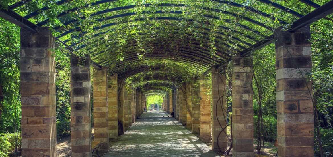 The Best Parks for Kids in Athens: Where Nature, Fun, and Learning Come ...